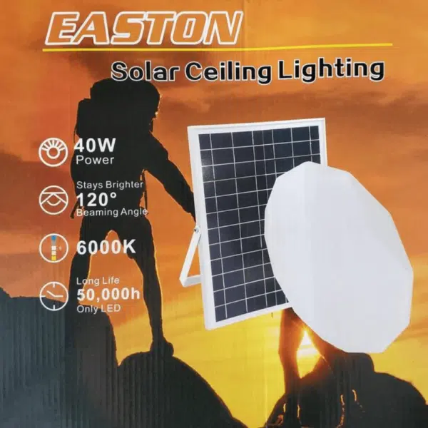 Best Easton 40W Indoor Ceiling/Wall Mount Solar Light